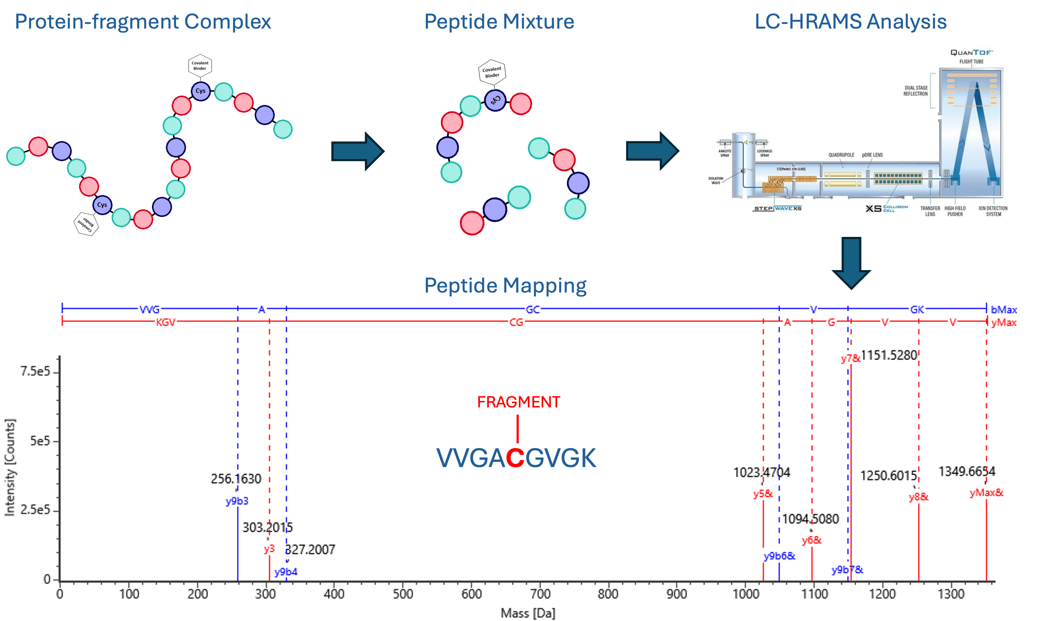 Covalent inhibitor drug discovery | Domainex